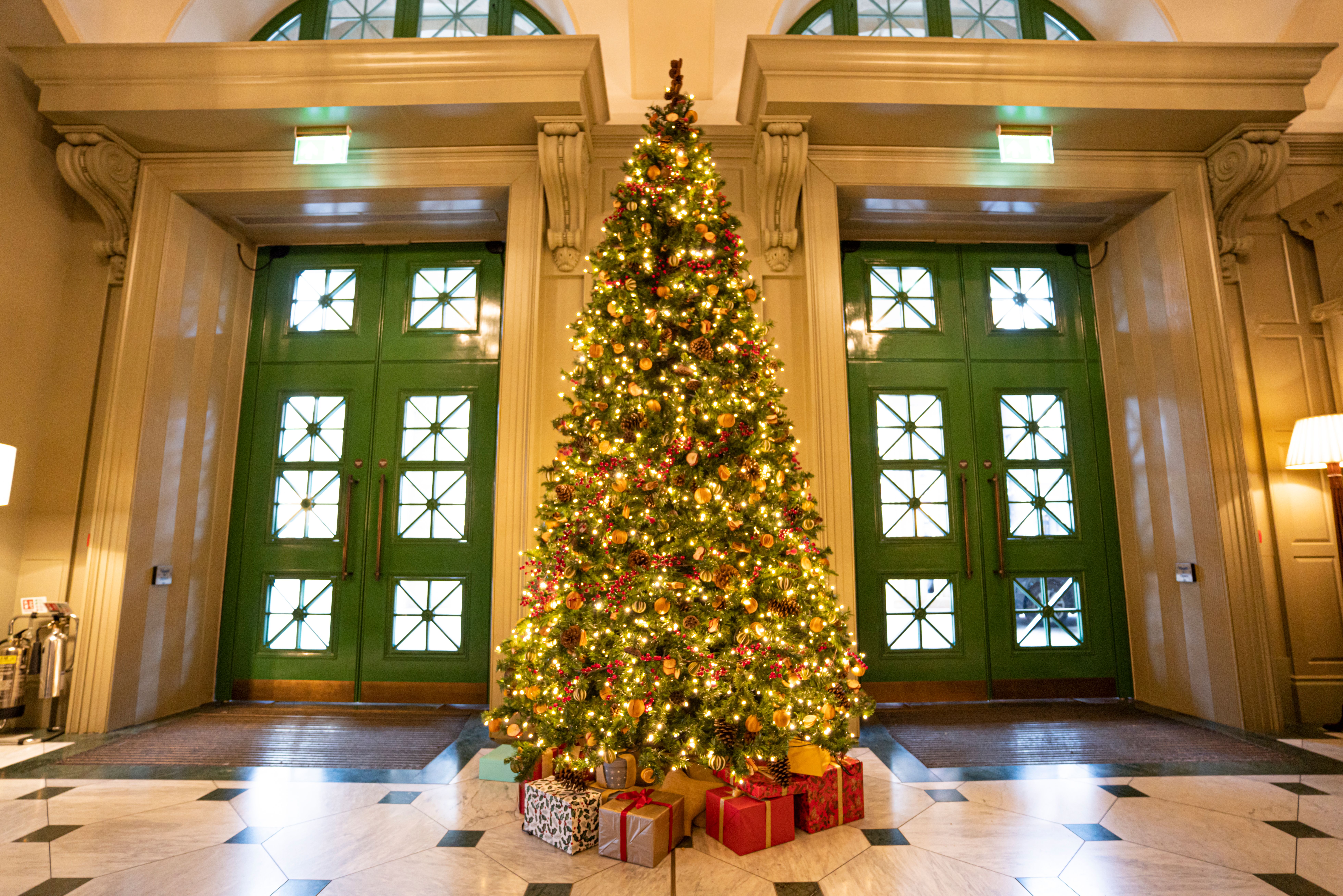 Things to do in Cambridge at Christmas | University Arms | University ...
