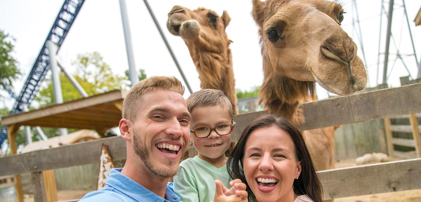 The Barnyard | Petting Zoo | Cedar Point | Ride | Cedar Point