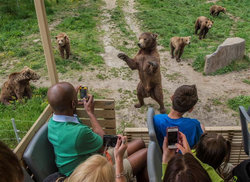 Six Flags Great Adventure - Wild Safari Daily Tickets