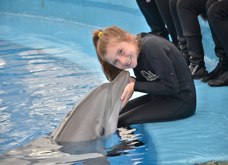 Nos expériences au parc | La Ronde