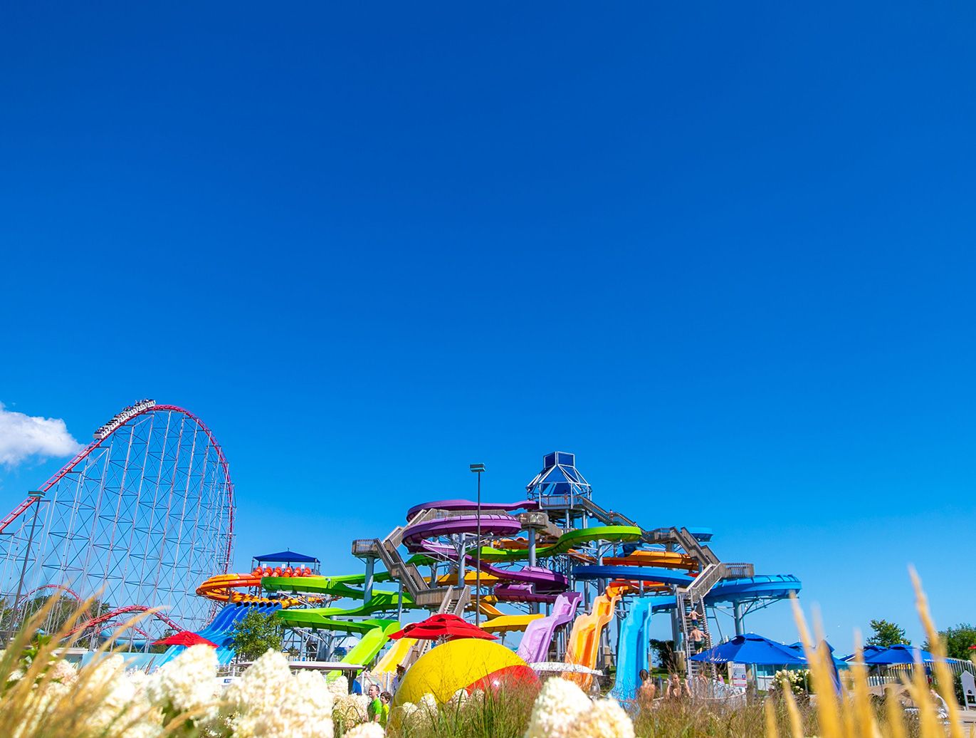 Water Park Tickets | Water Park Deals & Discounts | Cedar Point