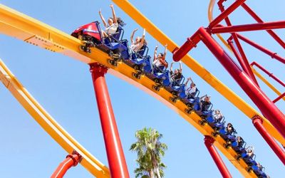 Six Flags Magic Mountain - Memberships