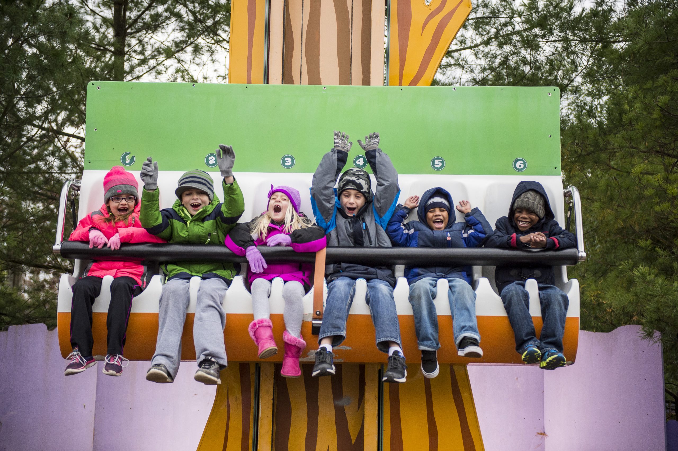 Six Flags Great Adventure - Tree Top Hopper | Ride | Six Flags Great ...