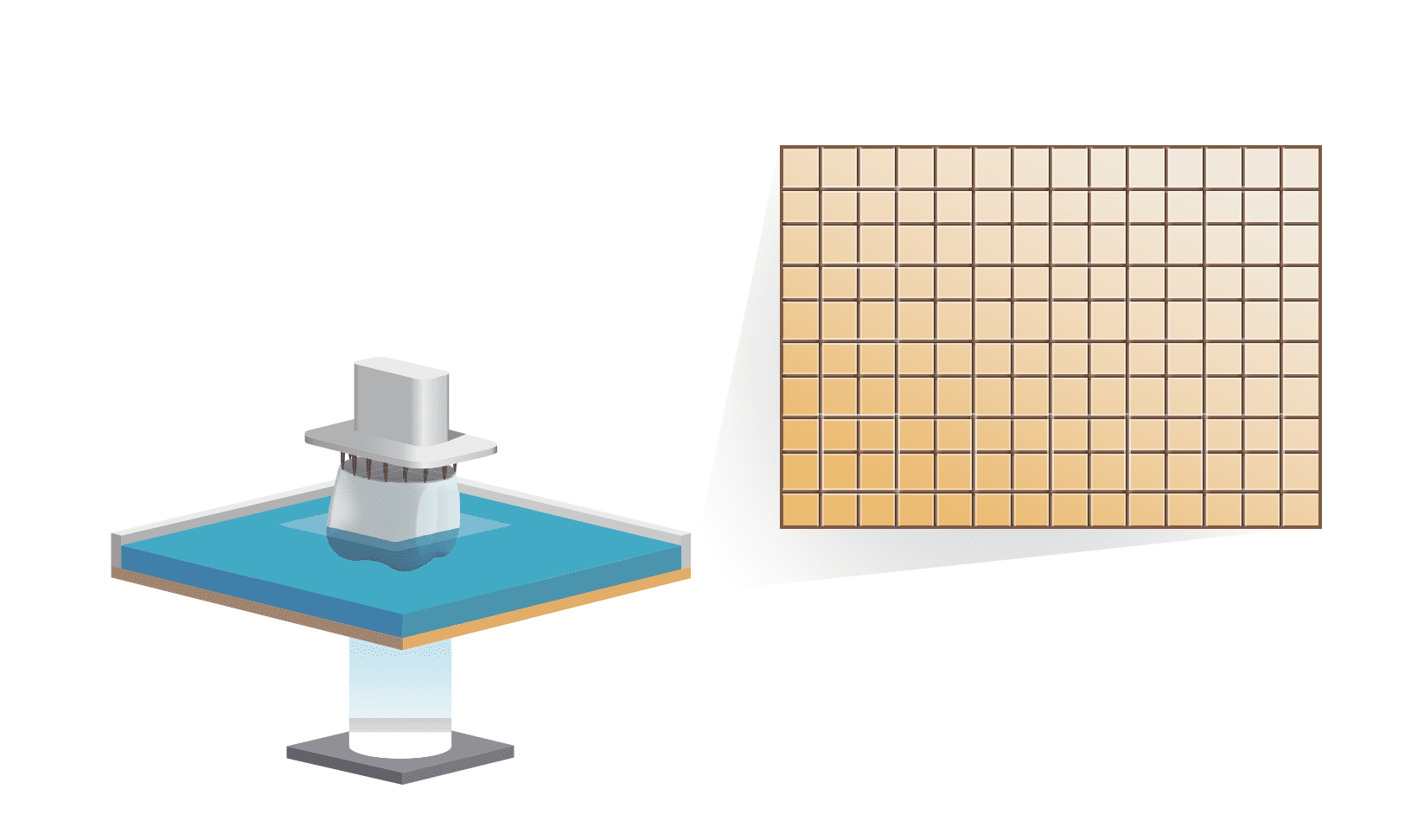 RAY - The Future of Face-Driven Dentistry