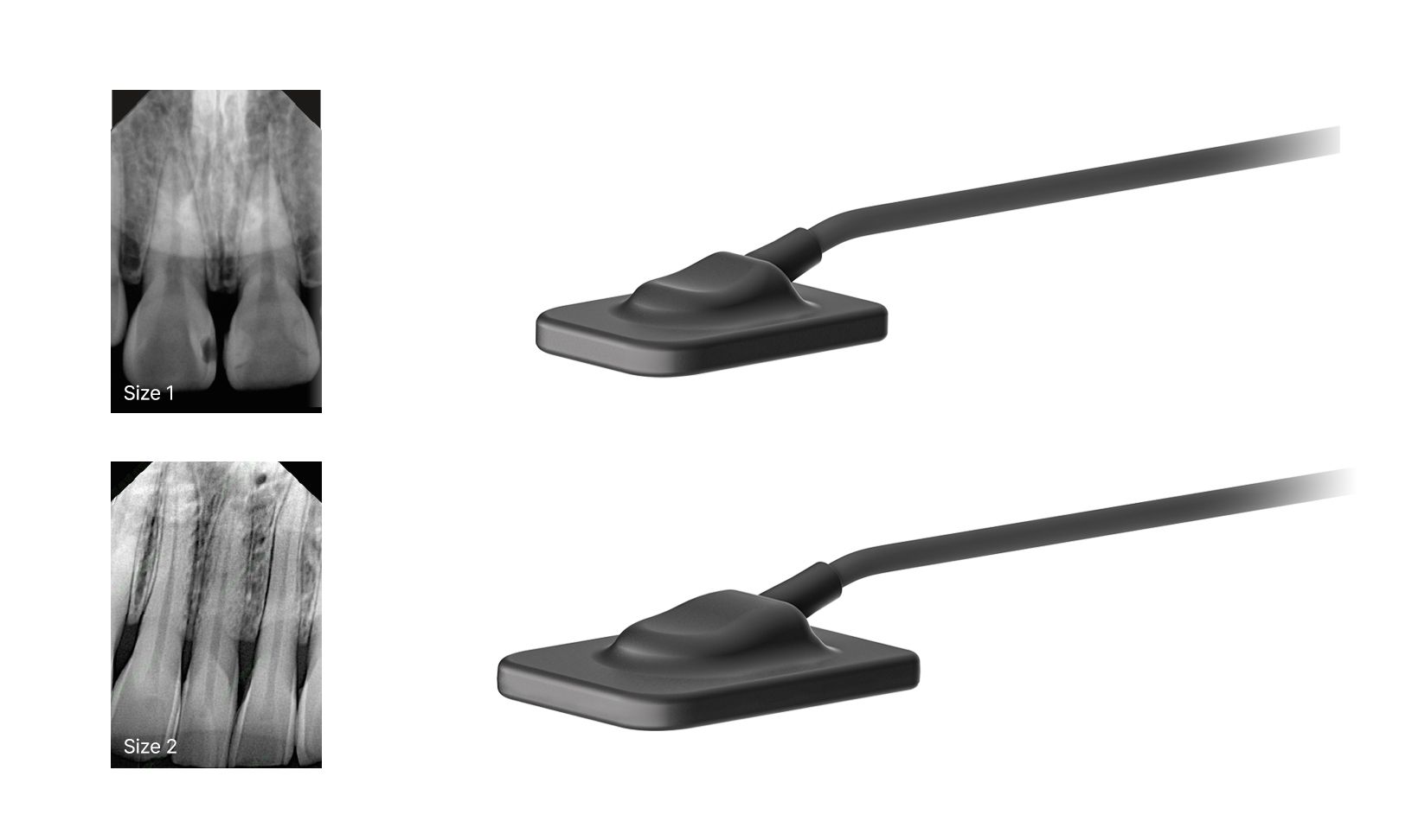 RAY - The Future of Face-Driven Dentistry