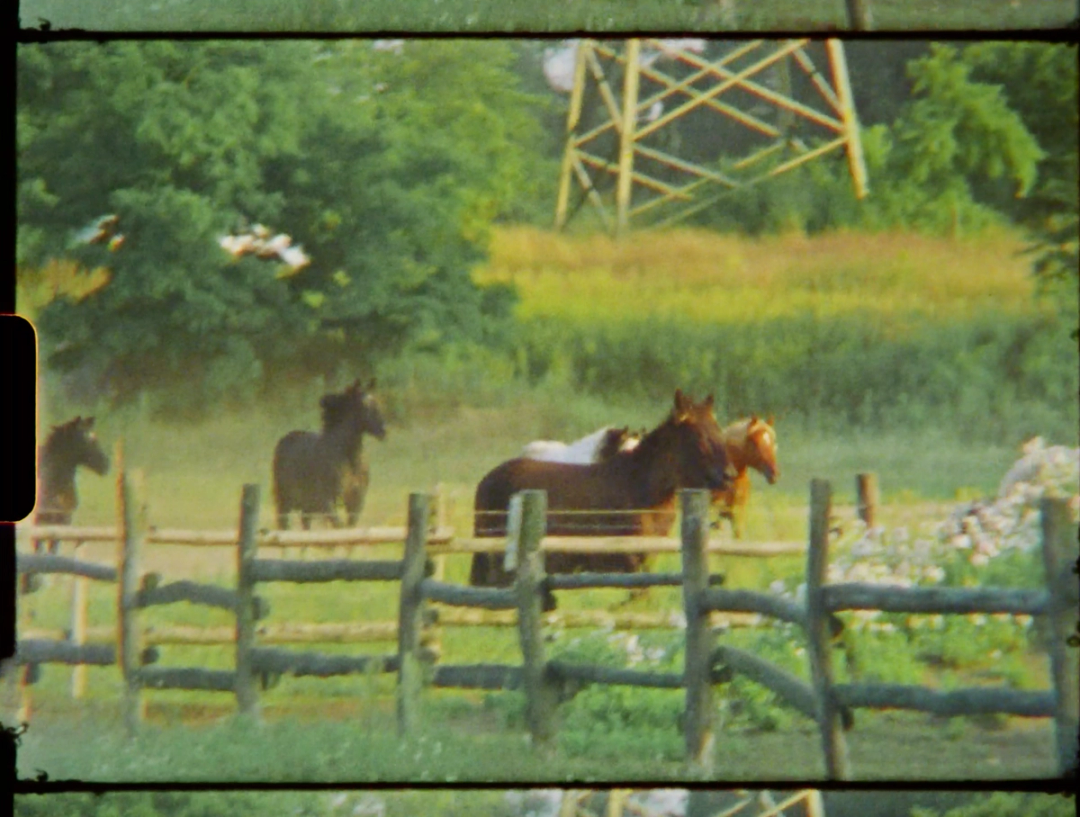 Paul Hepper | Personal Projects