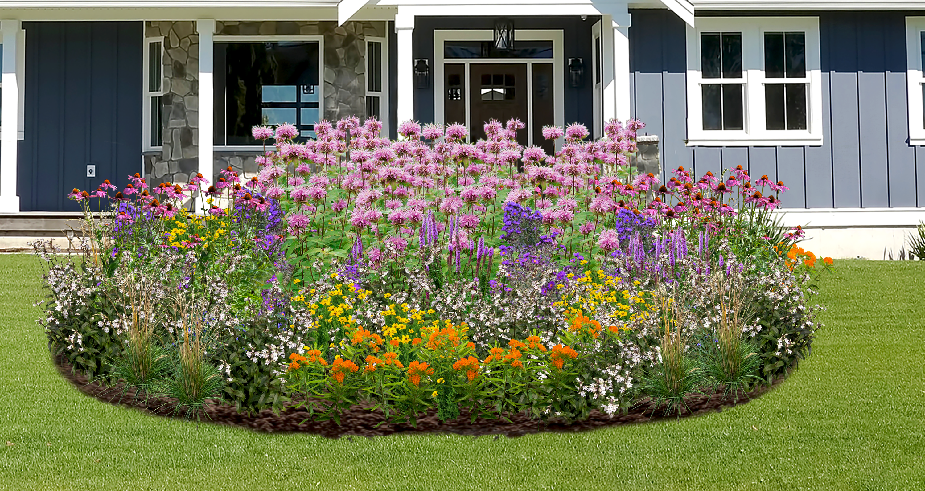 Buy Amazing Native Plants & Seeds | My Home Park