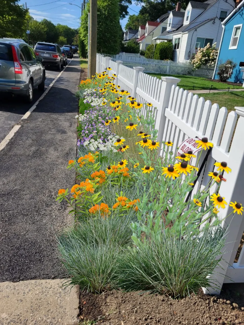 Custom Garden Request | My Home Park - Curated Native Gardens Delivered ...