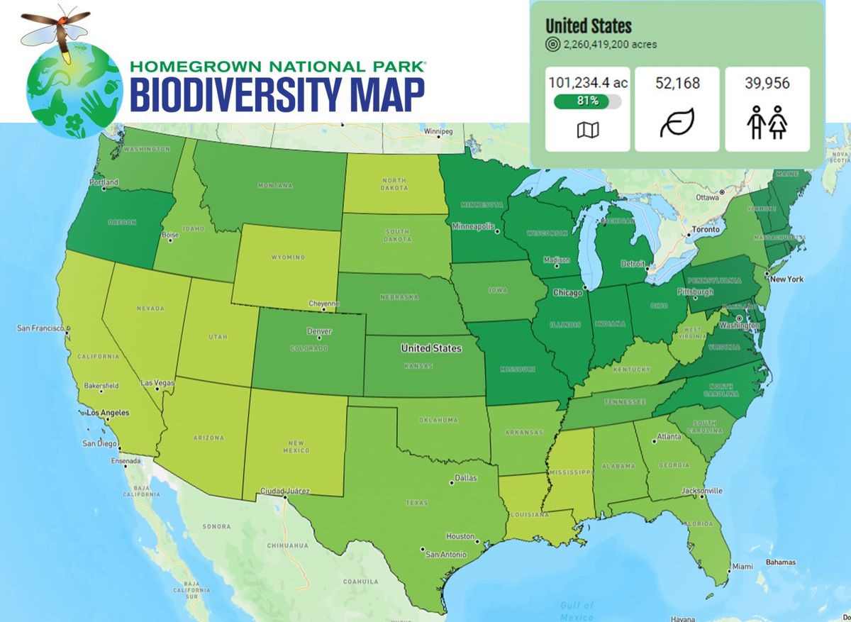 Homegrown Custom Native Garden | My Home Park - Curated Native Gardens ...