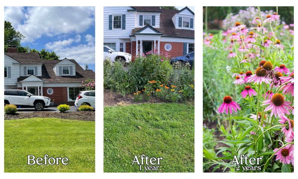 Custom Garden Request | My Home Park - Curated Native Gardens Delivered ...