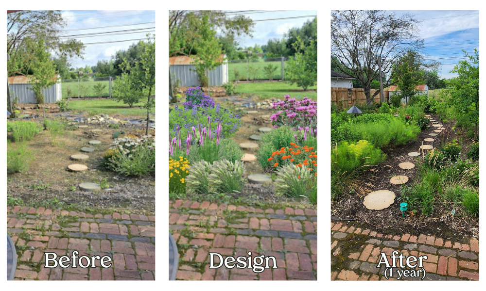 Custom Garden Request | My Home Park - Curated Native Gardens Delivered ...