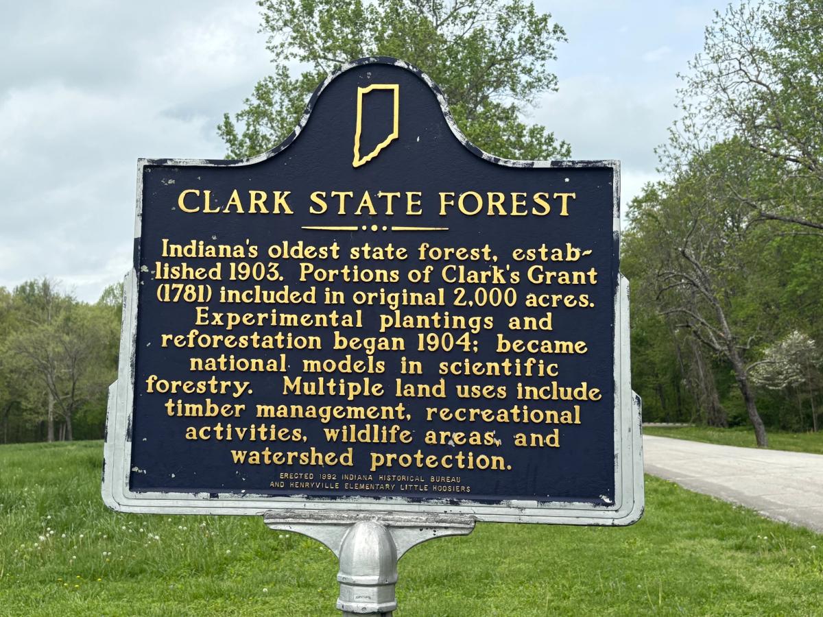 Day 5: ADT 2025 | Suzan Brydon Running