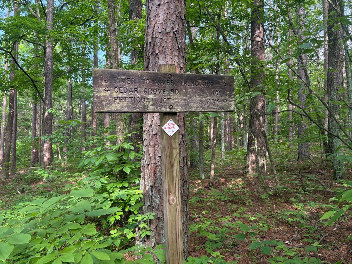 Day 19: ADT 2025 | Suzan Brydon Running