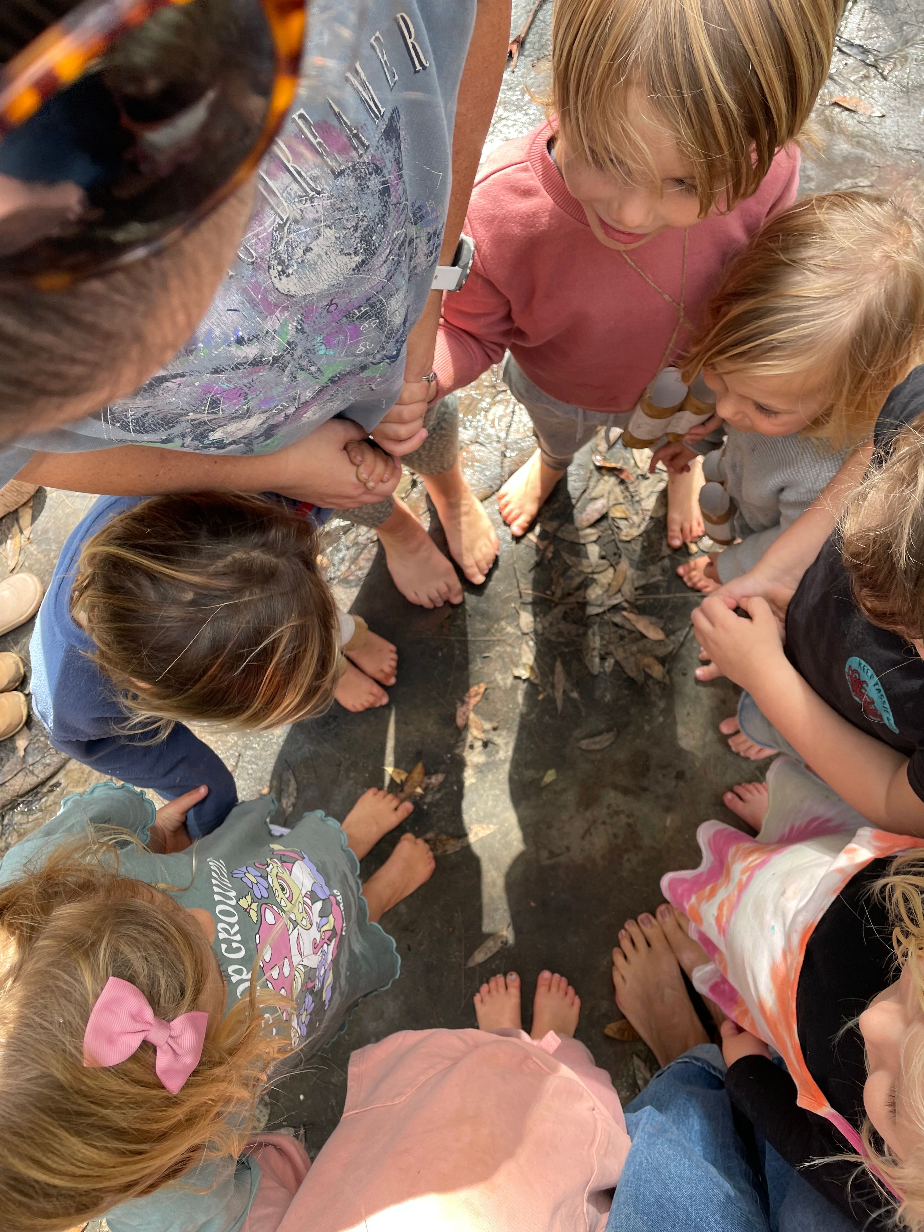 Home [www.bushplayschool.com]