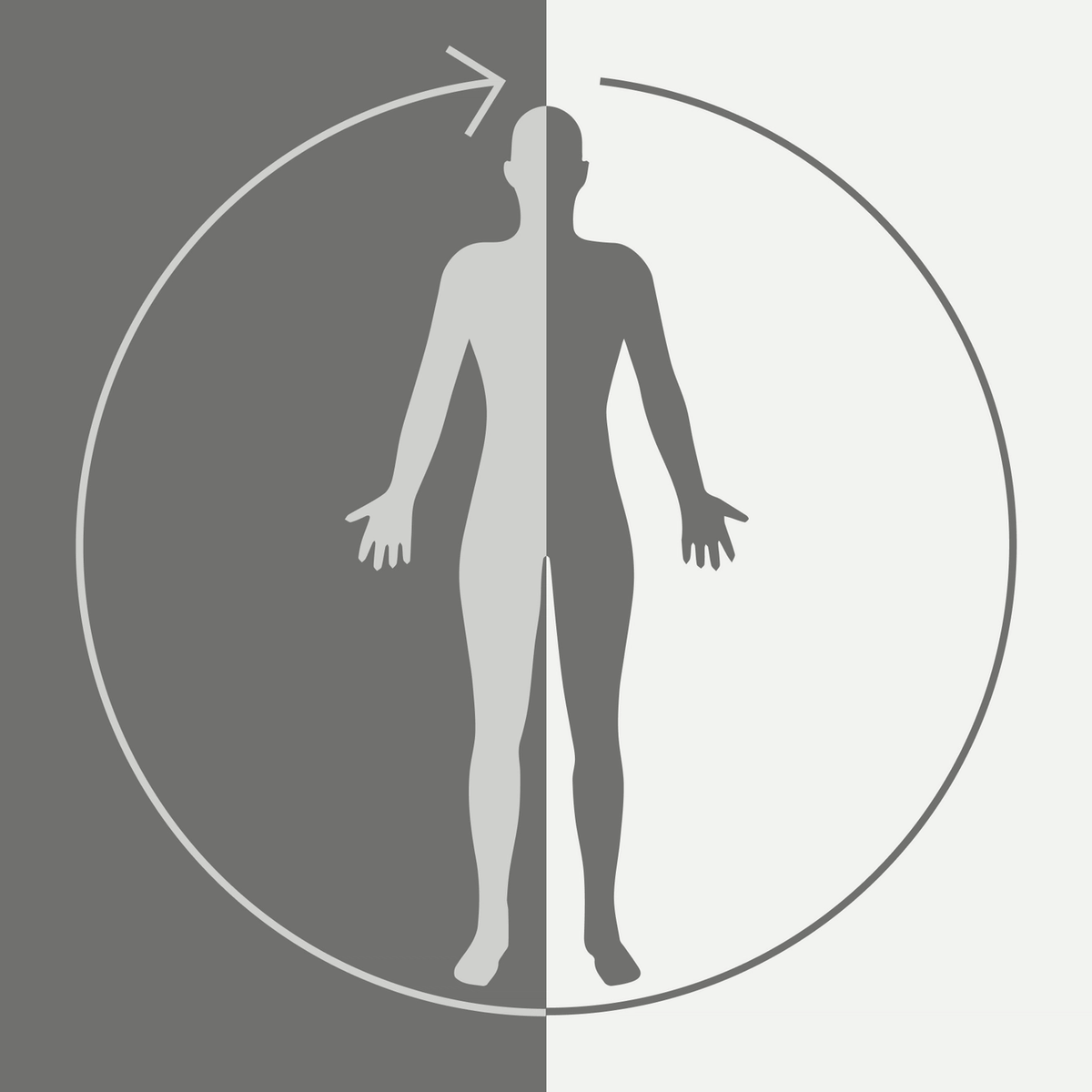 Your Circadian Rhythm: The Body’s Biological Melody - Timeline