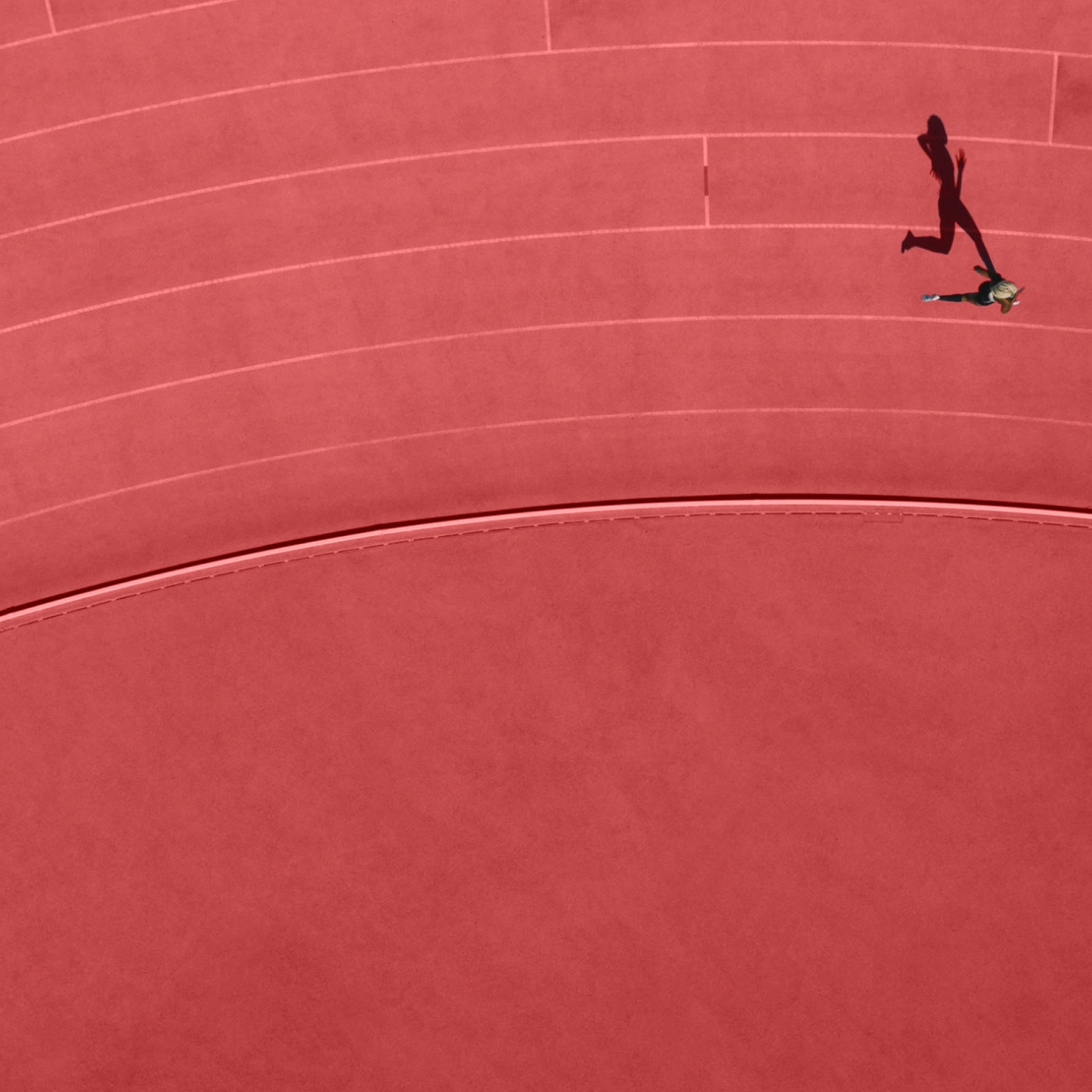 Muscle health for athletes. Interview with Prof. Burke - Timeline Longevity