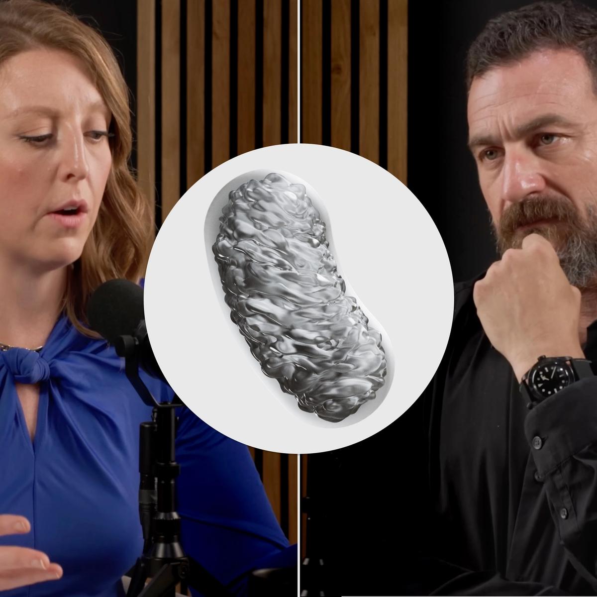 Huberman Labs: Dr. Means Discusses Urolithin A Benefits - Timeline