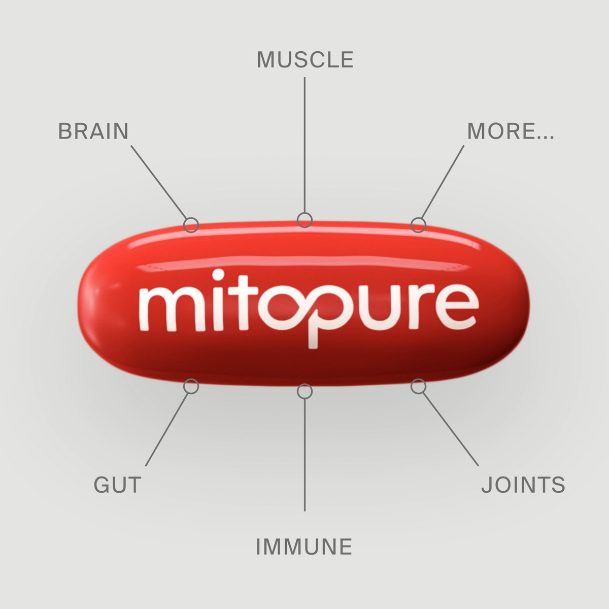 2022 Year in Review: The research behind Mitopure® - Timeline