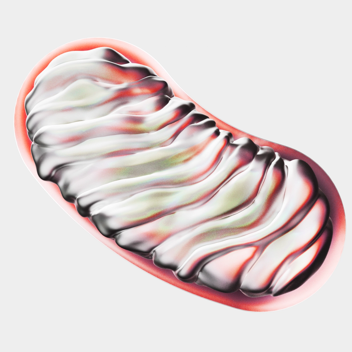 The mighty mitochondria, the organelle that powers our cells - Timeline