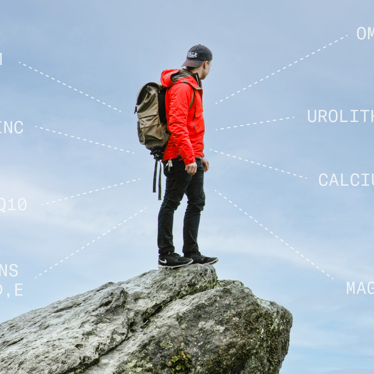 The top 8 longevity nutrients for a long and healthy life - Timeline