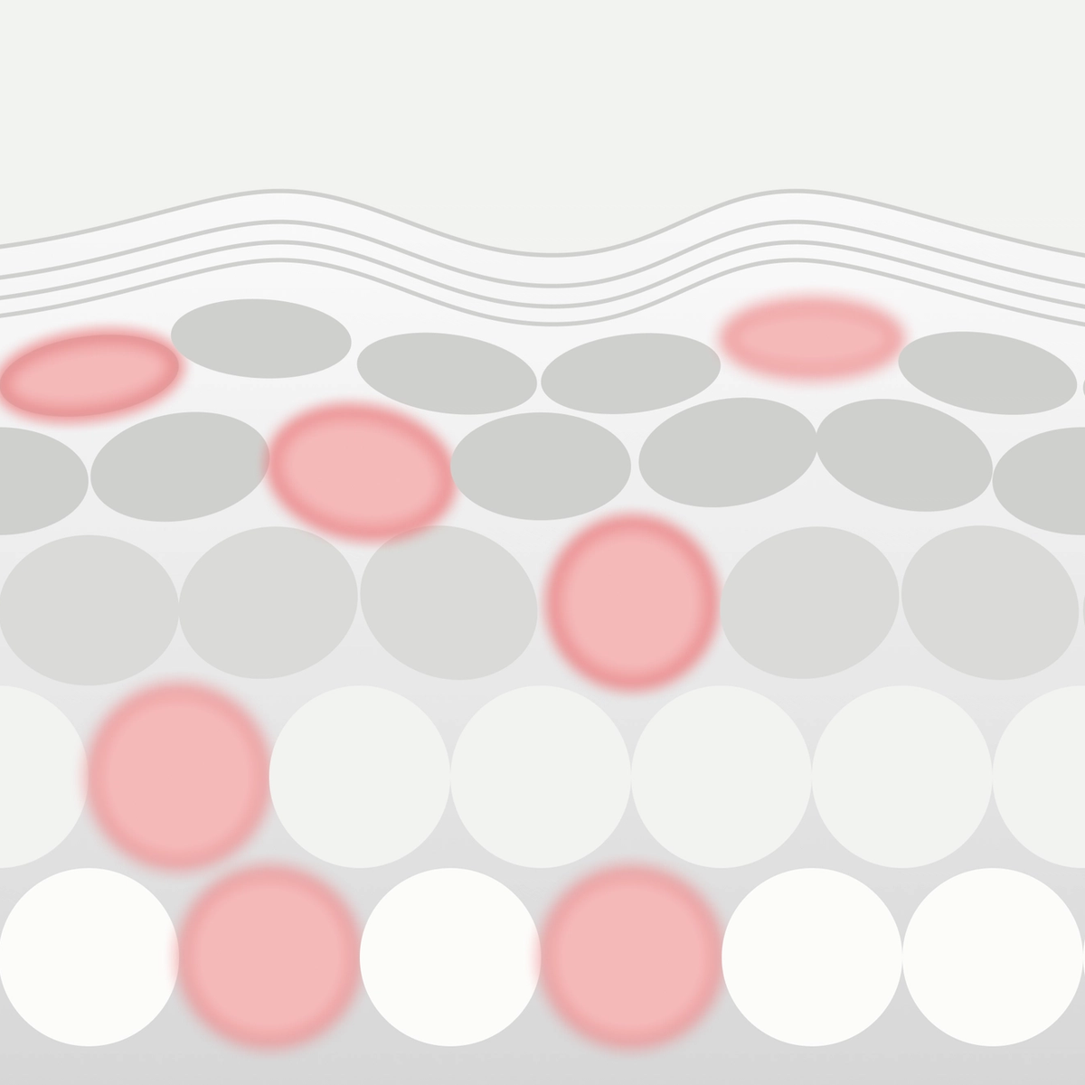 Inflammaging and skin: A link between inflammation and aging - Timeline