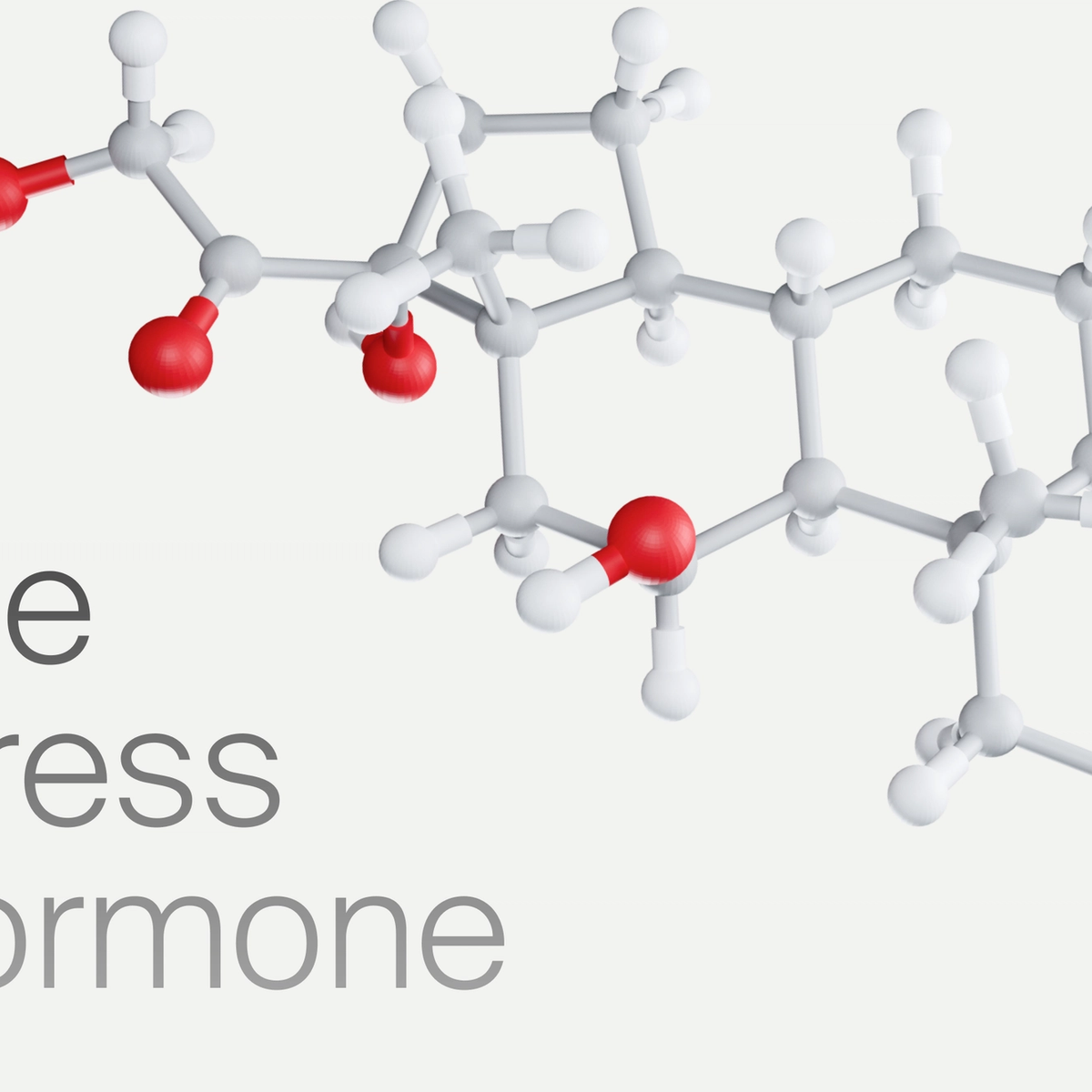 Taming the stress hormone: cortisol's impact on well-being - Timeline