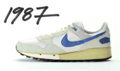 40 Years Of Nike Air Pegasus - Features