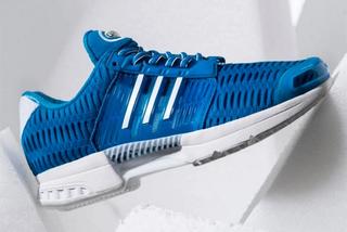 adidas ClimaCool (Bluebird) - Sneaker Freaker