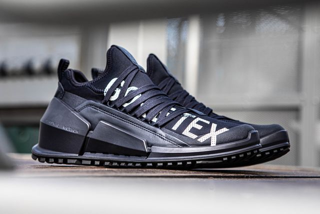 A Lesson in Logomania: The ECCO BIOM 2.0 and Multi-Vent GORE-TEX ...