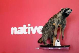 Native Pop Up Shop - Sneaker Freaker