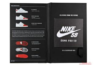 Nike SB Dunk Pro Book - Sneaker Freaker
