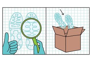 Nike Claim 75% of Their Product Feature Recycled Materials - Sneaker ...