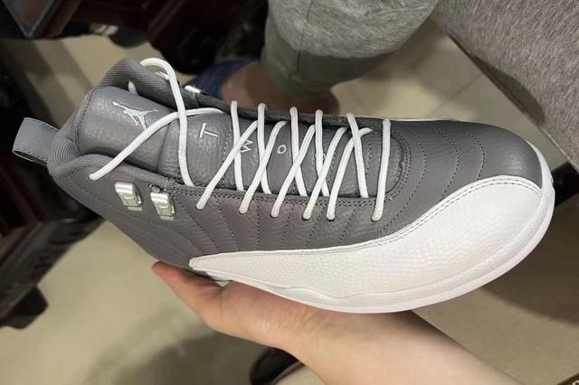 First Look at the Air Jordan 12 'Stealth' - Sneaker Freaker