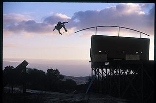 Dc Celebrate 20yrs Of Danny Way - Sneaker Freaker