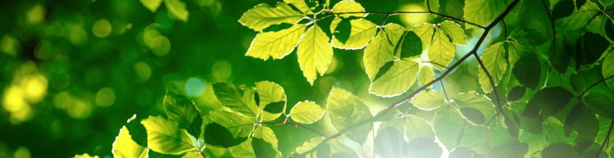 Contact Us | Metro Pest Management