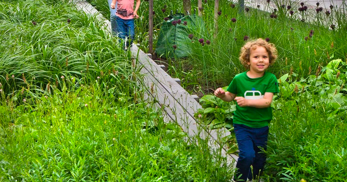 Nature-based solutions and resilience | Stockholm Royal Seaport 2030