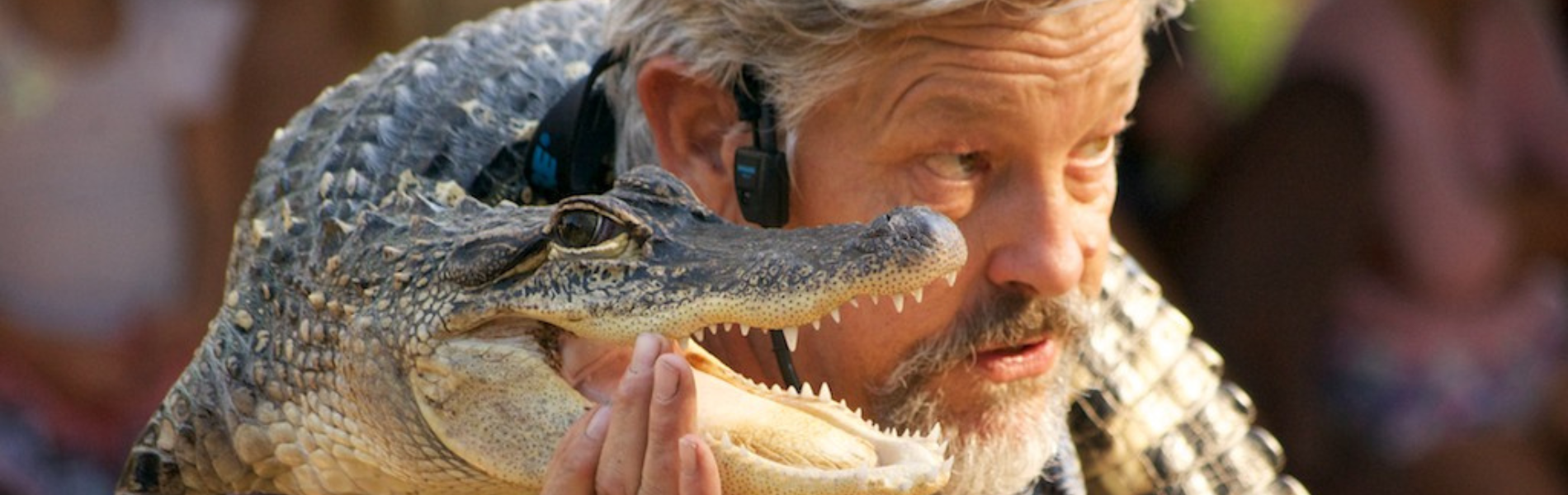 Australian Reptile Park - Ranger Mick Hits 30 Years of Service