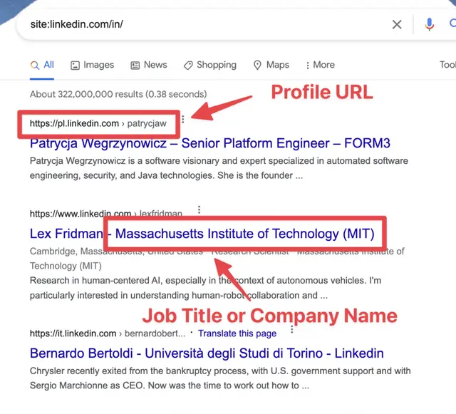 5 Professional Linkedin URL Examples To Boost Your Profile