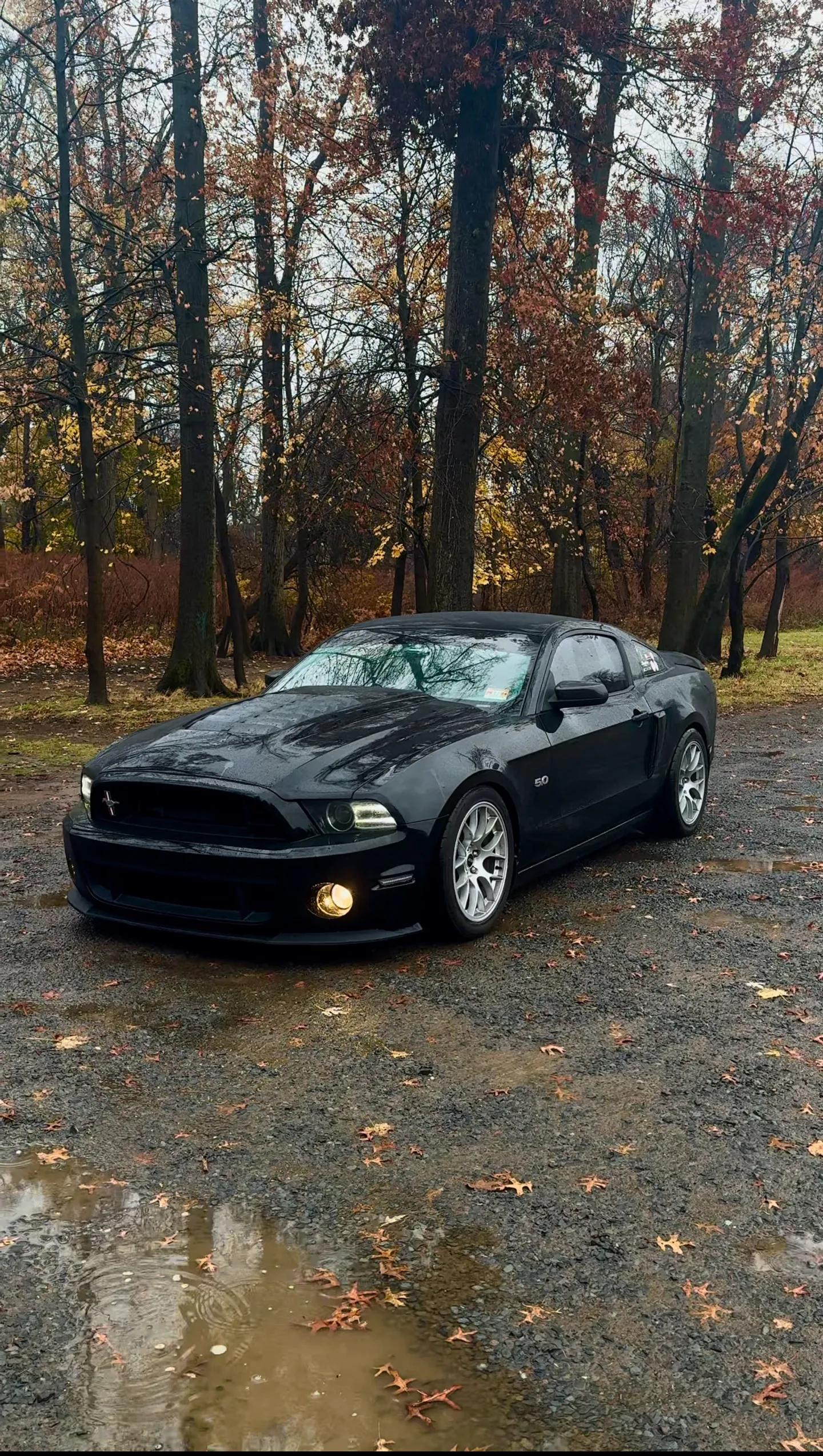Ford S197 Mustang GT with 18" EC-7 Wheels in Race Silver