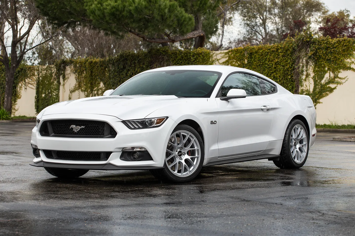 Ford S550 Mustang GT with 19" EC-7 Wheels in Race Silver