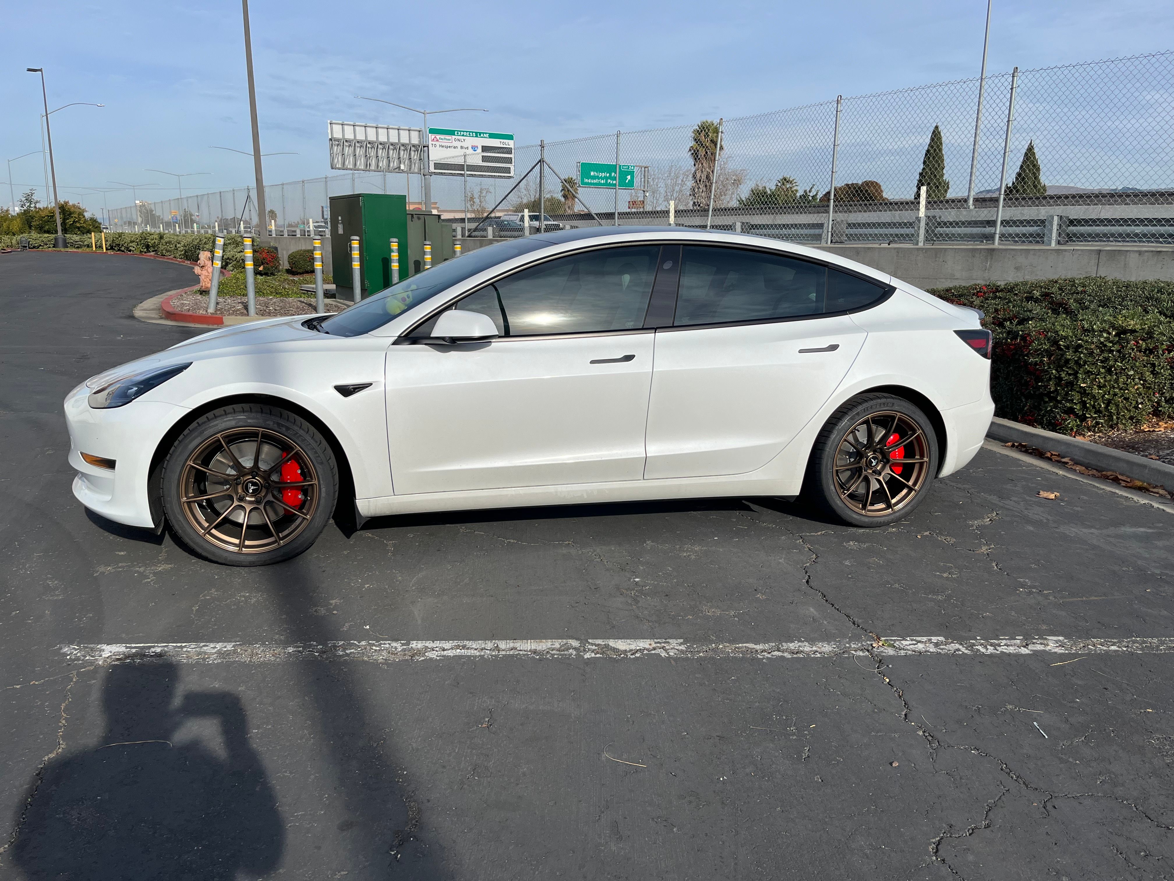 Tesla Model 3 with 19" SM-10RS in Satin Bronze on Tesla All Model 3 ...