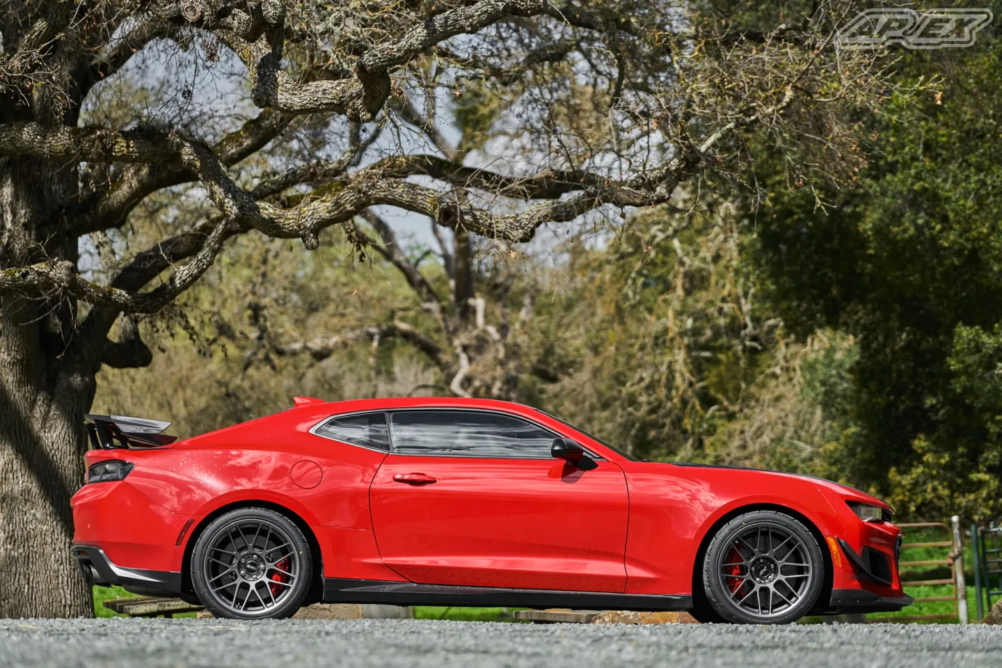 Chevrolet 6th Gen Camaro ZL1 1LE with 19" ARC-8 Wheels in Anthracite