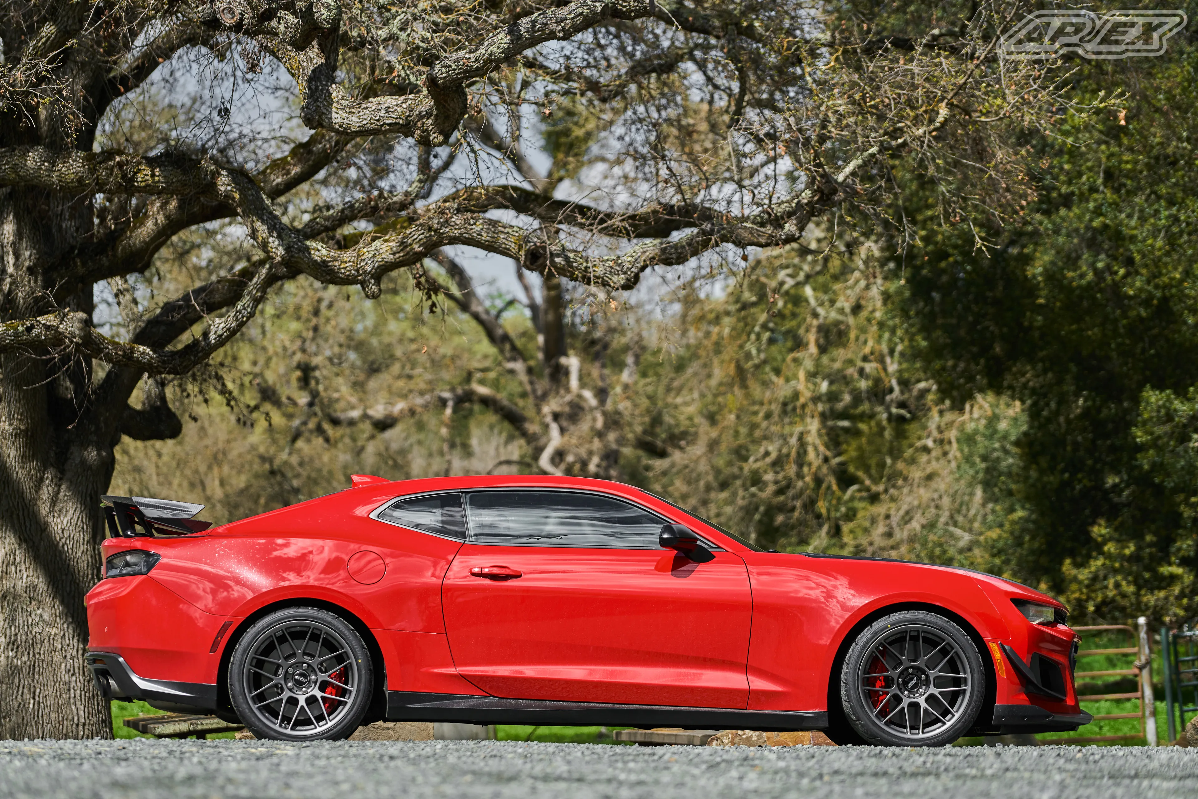 Chevrolet 6th Gen Camaro ZL1 1LE with 19" ARC-8 Wheels in Anthracite