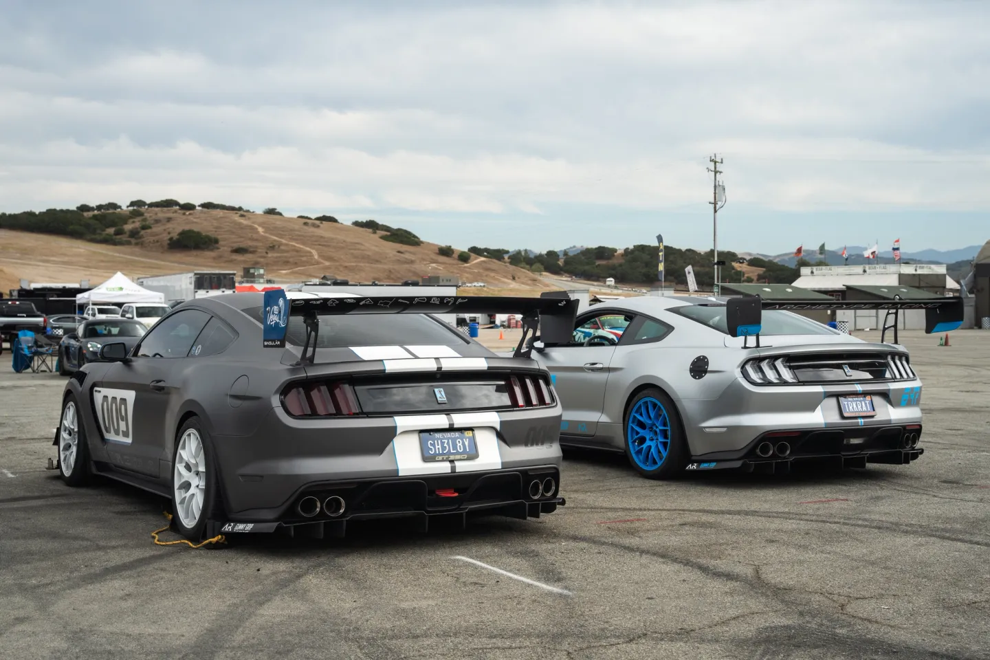 Ford S550 Mustang GT350 with 19" EC-7 Wheels in Custom Finish