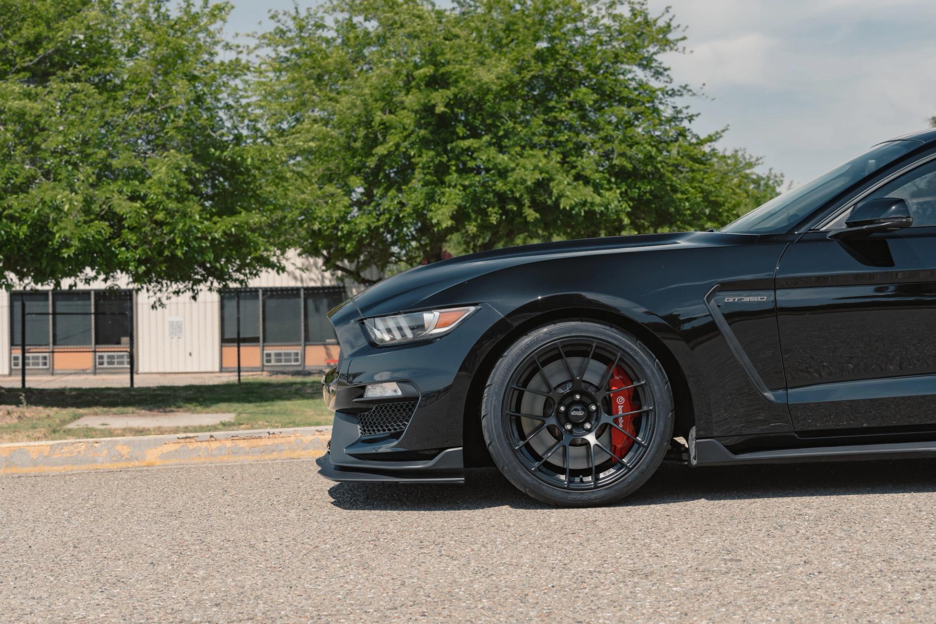 Ford S550 Mustang GT350 with 19" EC-7RS Wheels in Satin Black