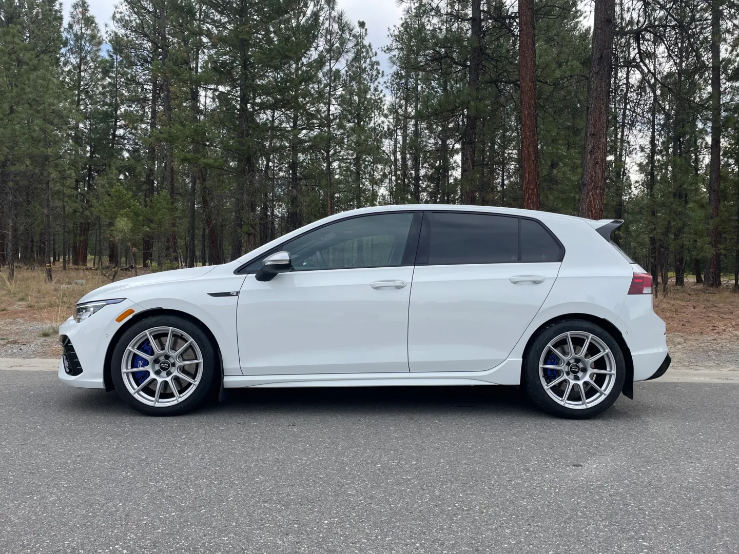 VW MK8 Golf R with 18" SM-10 Wheels in Race Silver