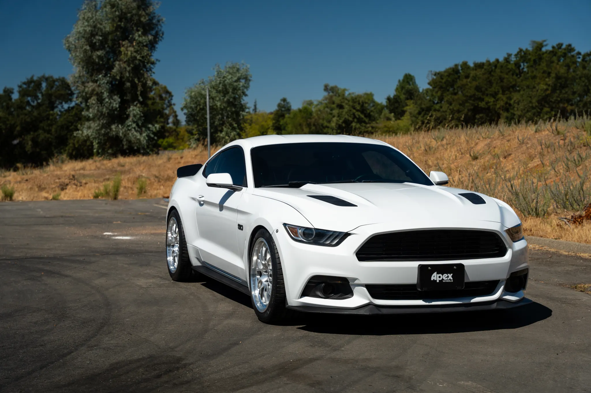 Ford S550 Mustang GT with 19" ML-10RT Wheels in Machined Lip Brushed Clear
