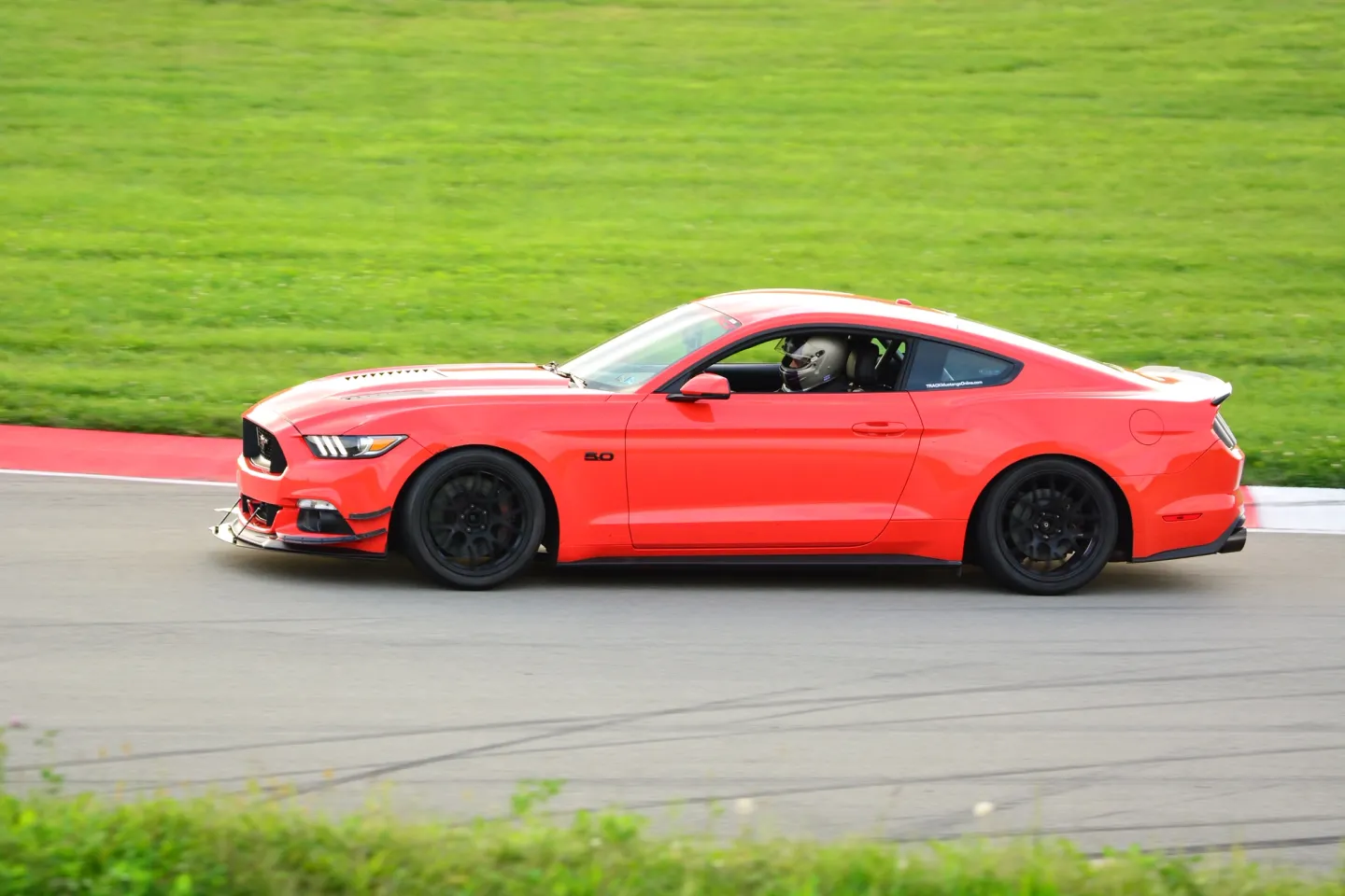 Ford S550 Mustang GT with 19" EC-7 Wheels in Satin Black