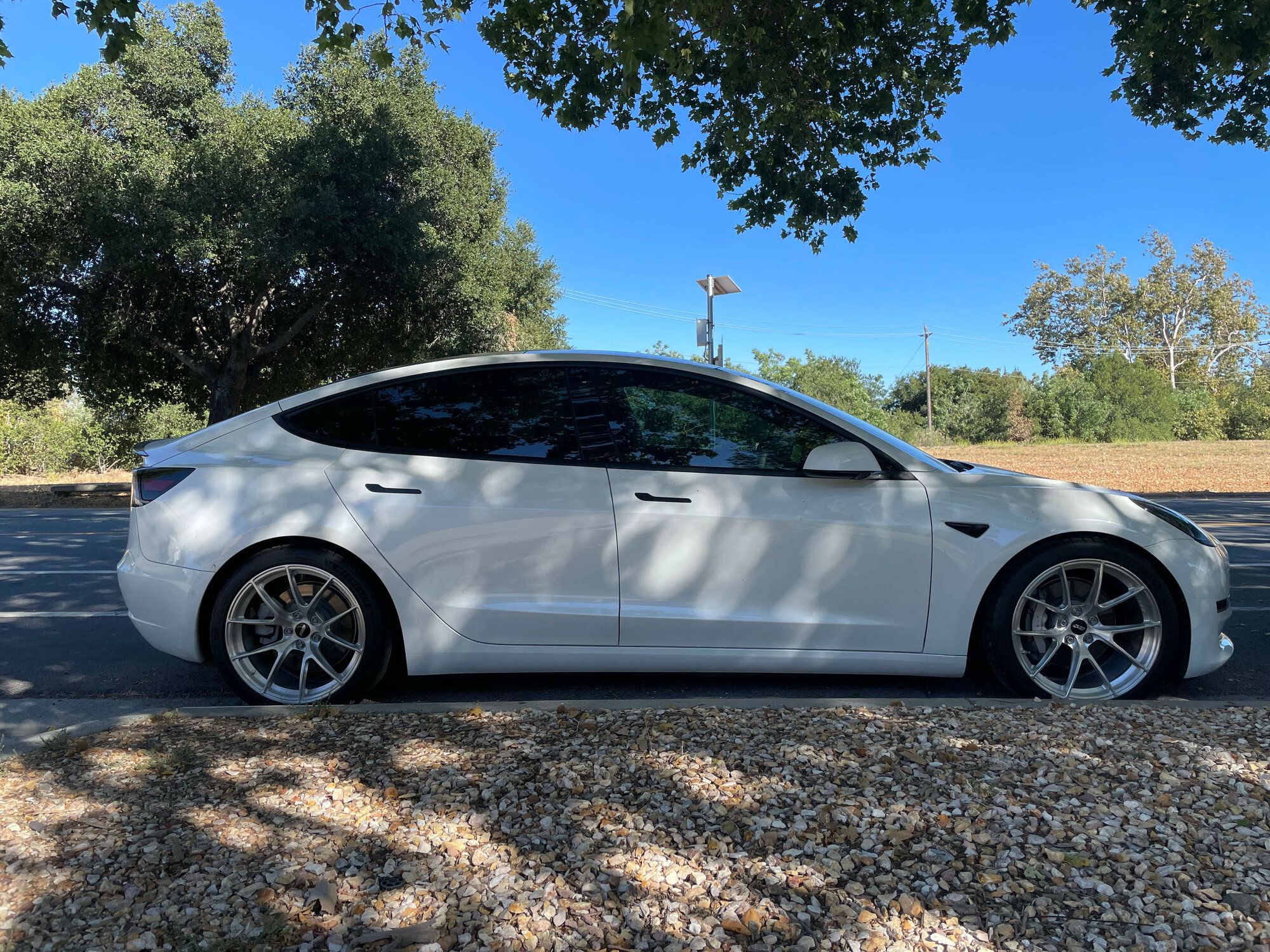 Tesla Model 3 with 19" VS-5RS in Brushed Clear on Tesla Model 3 - Apex ...
