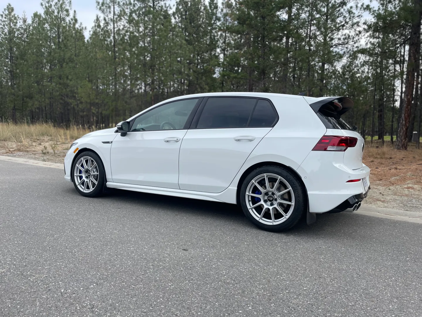 VW MK8 Golf R with 18" SM-10 Wheels in Race Silver